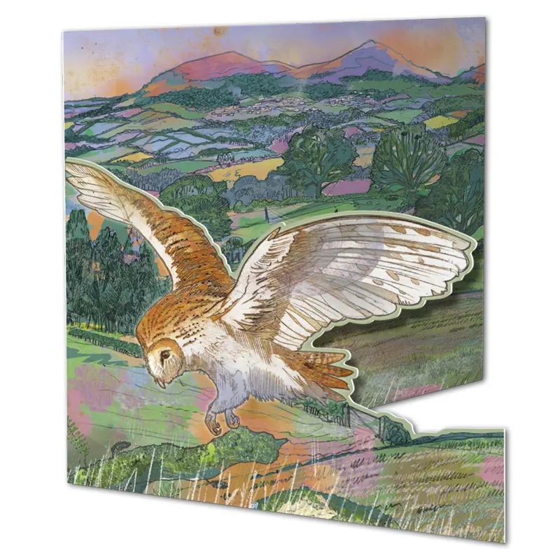 Die-Cut Owl Greetings Card - Shelly Perkins